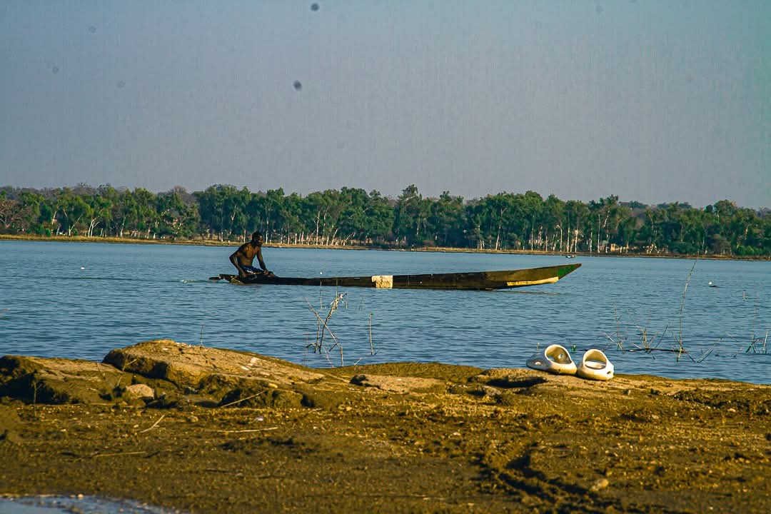 Vea Dam: GTA Director advocates for transformation into modern ...